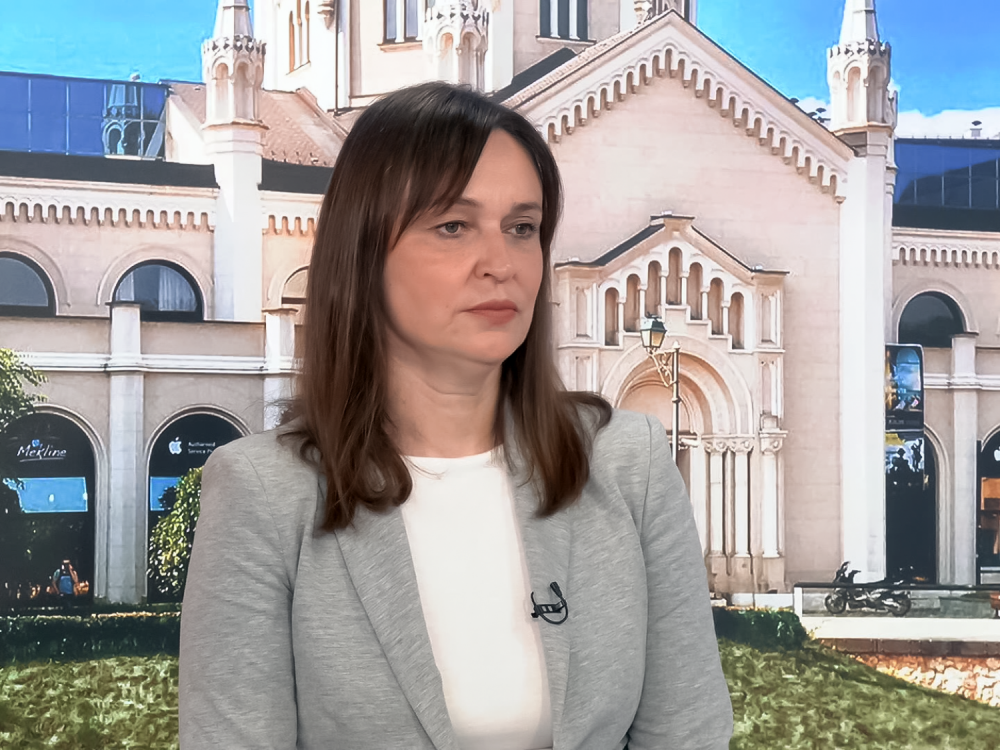 Skoro milion žena radno neaktivno u BiH | Bloomberg Adria